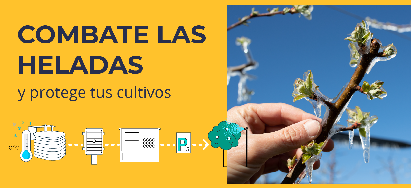 Protege Tus Cultivos De Las Heladas Con Nuestra Solución Progrés